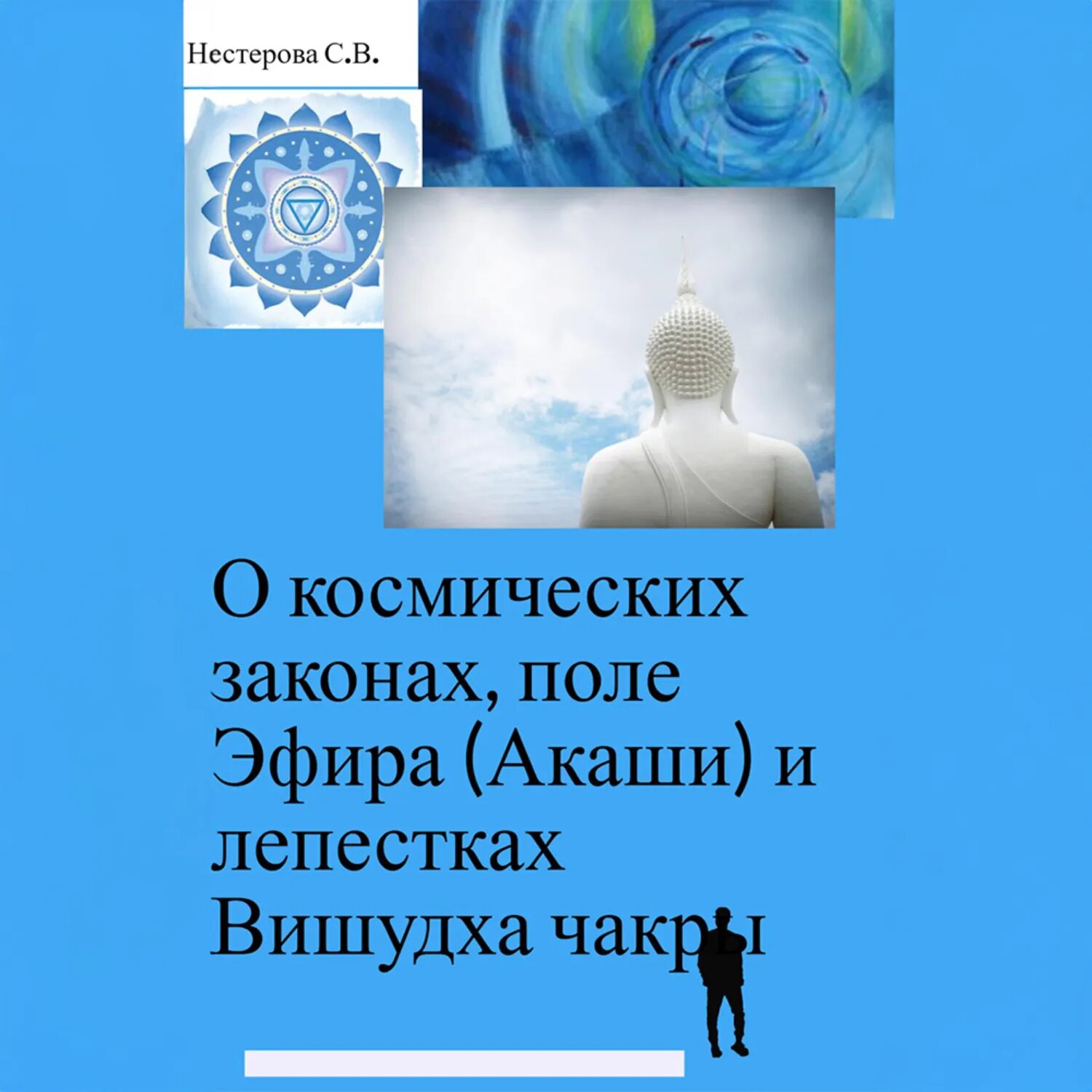 О космических законах, поле Эфира (Акаши) и лепестках Вишудха чакры [Аудиокнига]