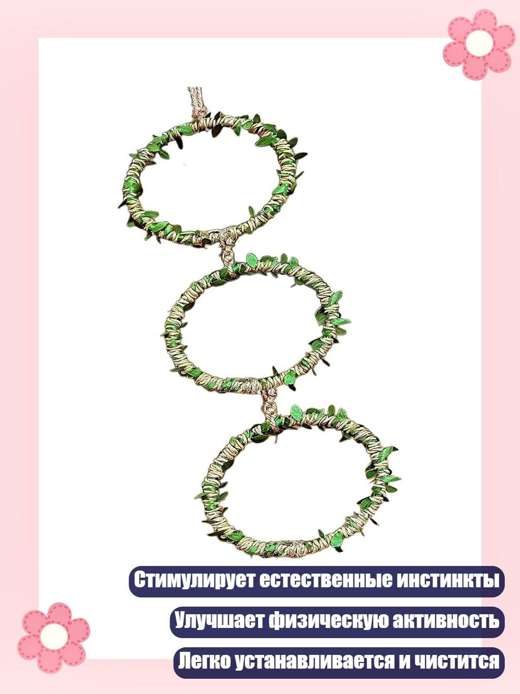 Кольца для лазания для рептилий