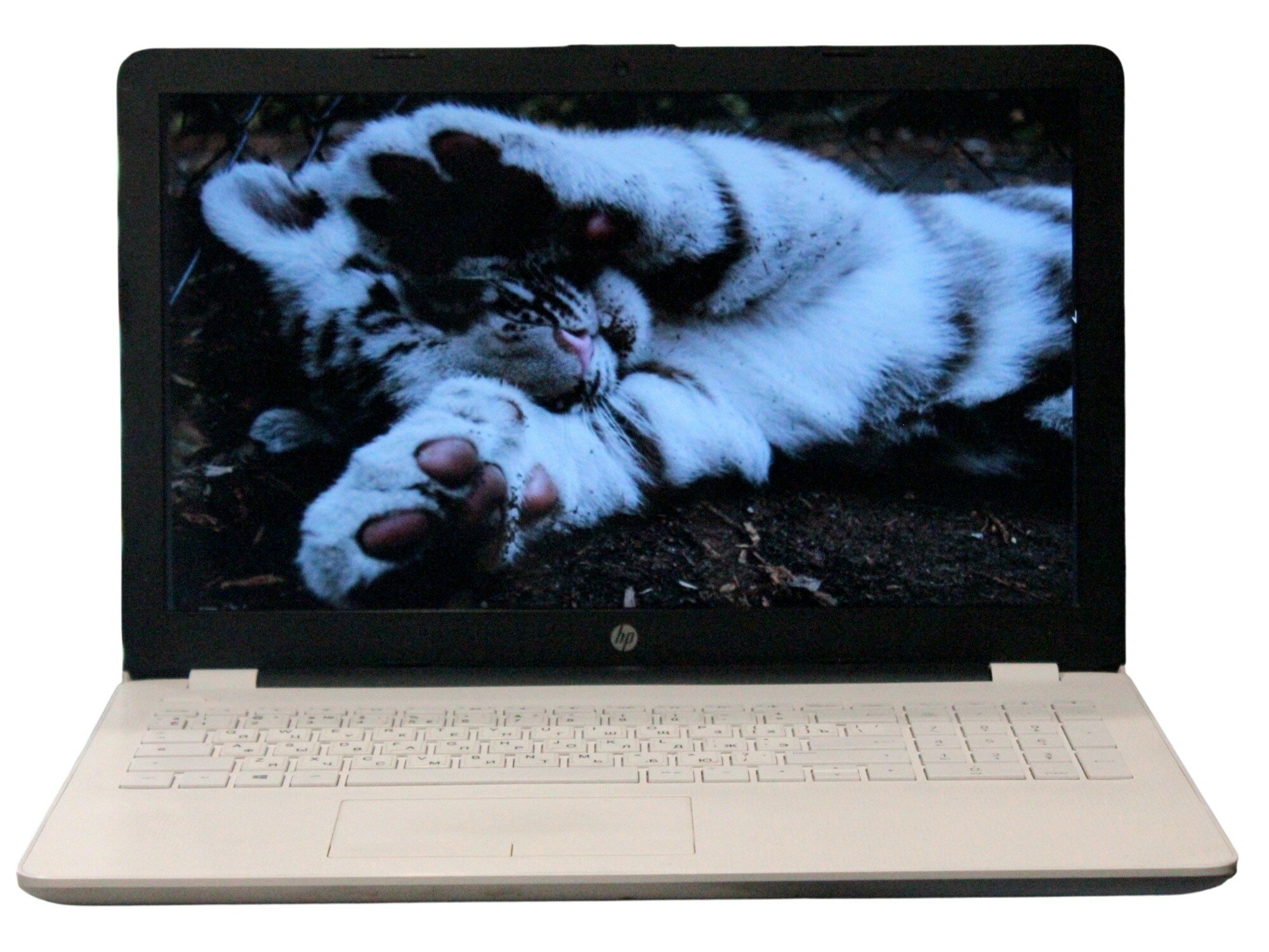 Ноутбук HP 15-bw008nf 15,6" HD AMD Dual-Core A9-9420 ГБ DDR4 AMD Radeon R5 Graphics SSD 250ГБ Windows 10 + office