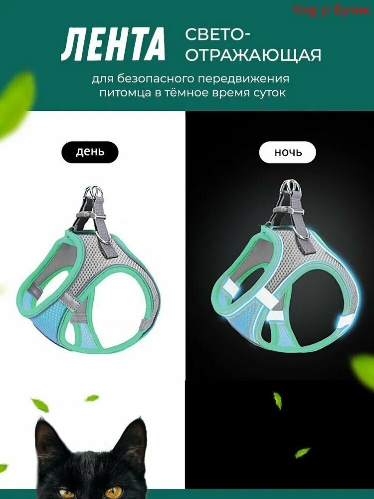 Шлейка, прогулочная для кошек и собак мелких пород, удобная для выгула — фото 1