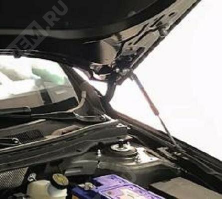 Газовые упоры капота для Kaiyi E5