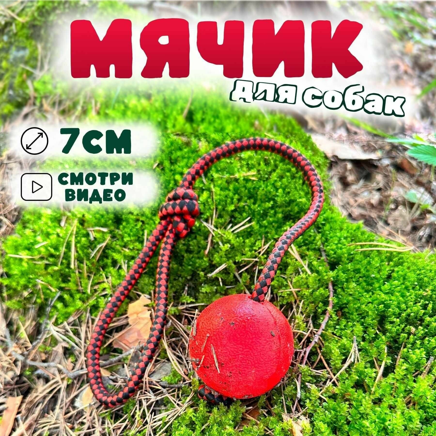 Мячик Mengjia3, для собак, каучуковый, литой, на веревке, 7 см