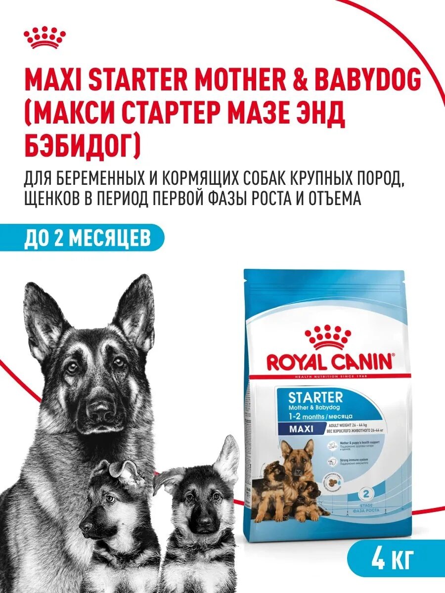 Сухой корм Royal Canin Maxi Starter для щенков крупных размеров до 2-х месяцев, беременных и кормящих сук , 4 кг
