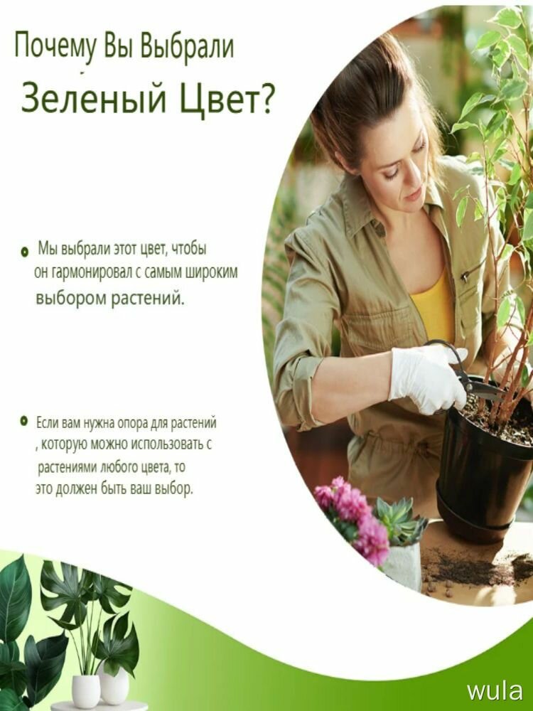 Опора для растений зеленая, 6 шт, для поддержки комнатных растений, стержень с ветвями, цвет: зеленый, для дома — фото 1