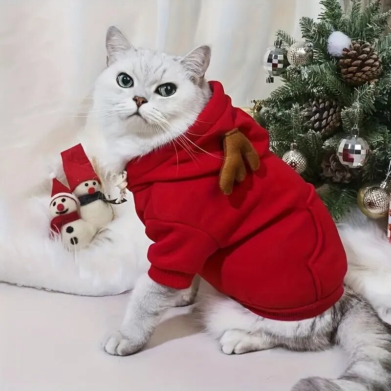 Одежда для животных — фото 1