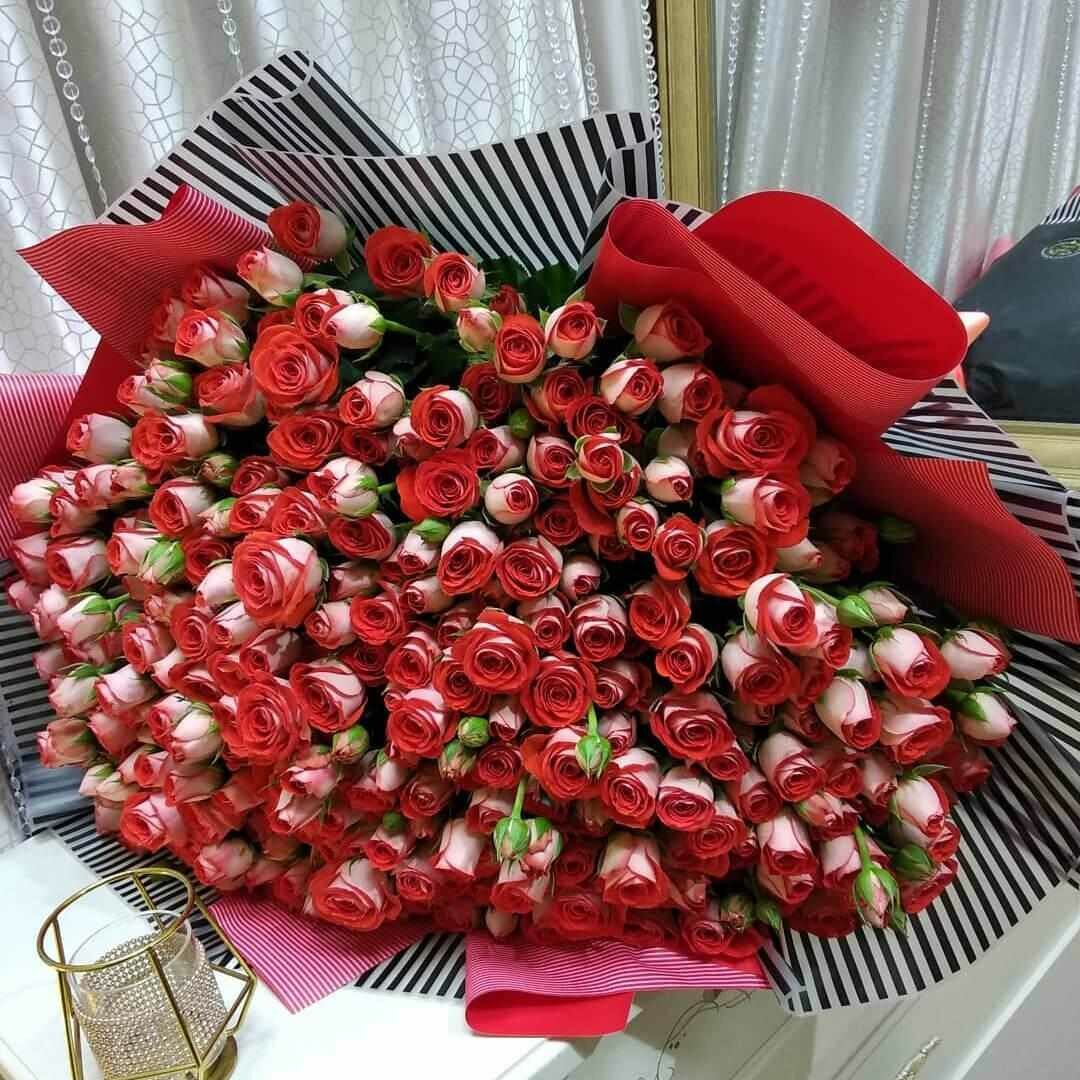 Букет "Венера", 101 роза, кустовая, красная, 50 см, аквабокс, под ленту