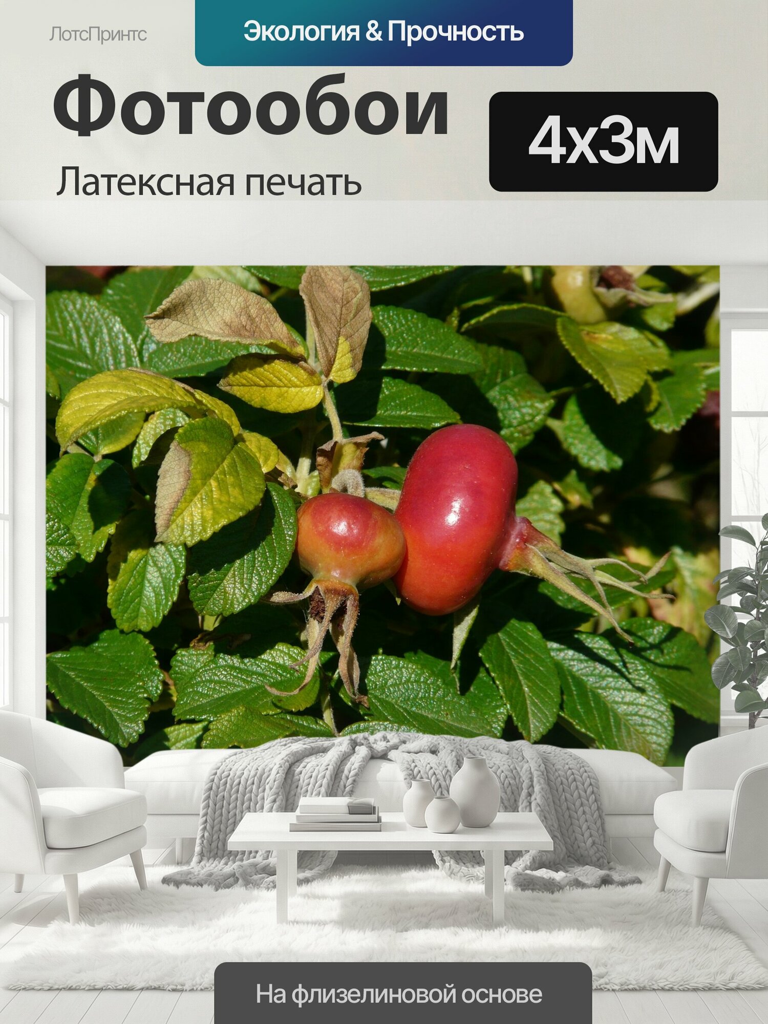 Фотообои моющиеся ударопрочные "Шиповника, картофельная роза, роза ругоса" 400x300 см. латексная печать