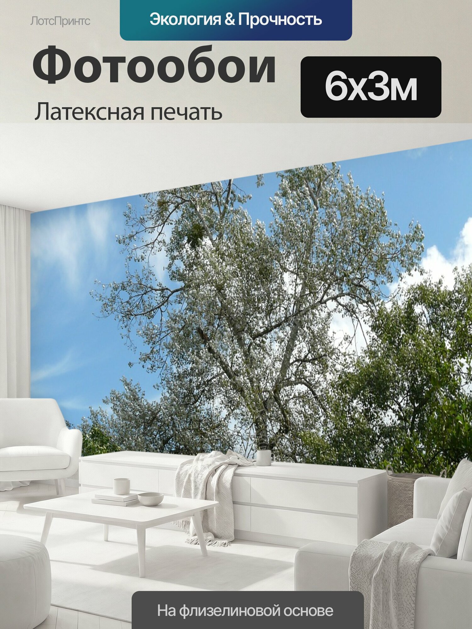 Фотообои моющиеся ударопрочные "Серебристый тополь, дерево, тополь" 600x300 см. латексная печать