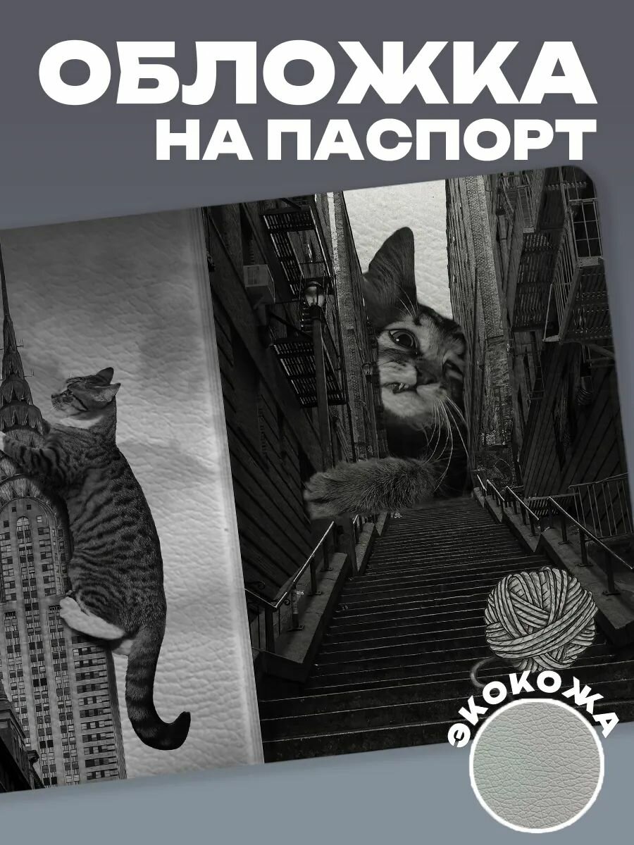 Обложка для паспорта