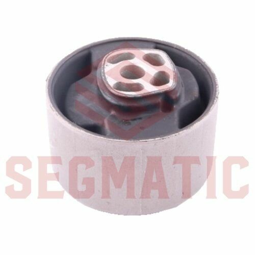 Поршень суппорта Segmatic SG30112398