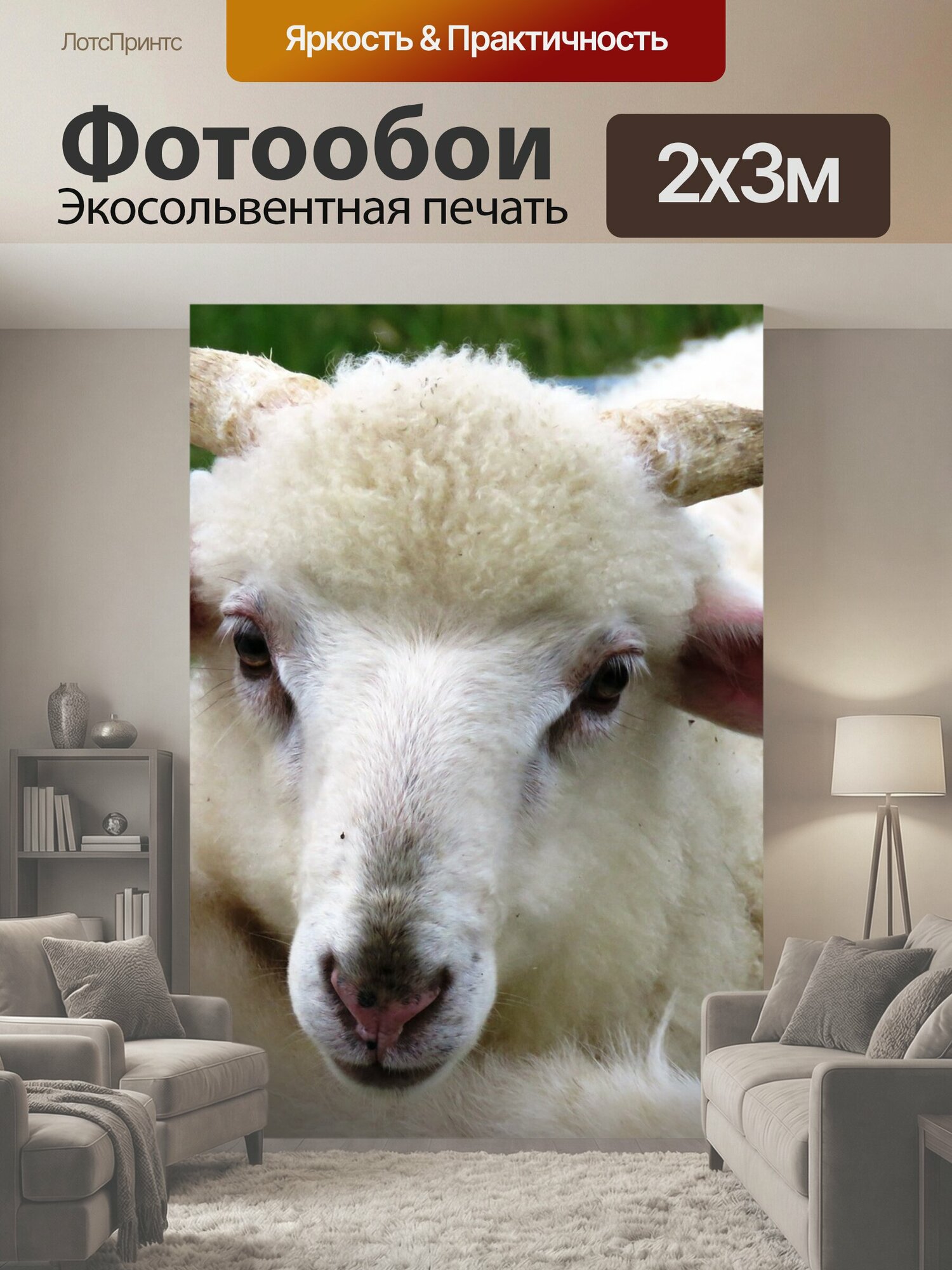 Фотообои "Овец, ягненок, шерсть" 200x300 см. экосольвентная печать