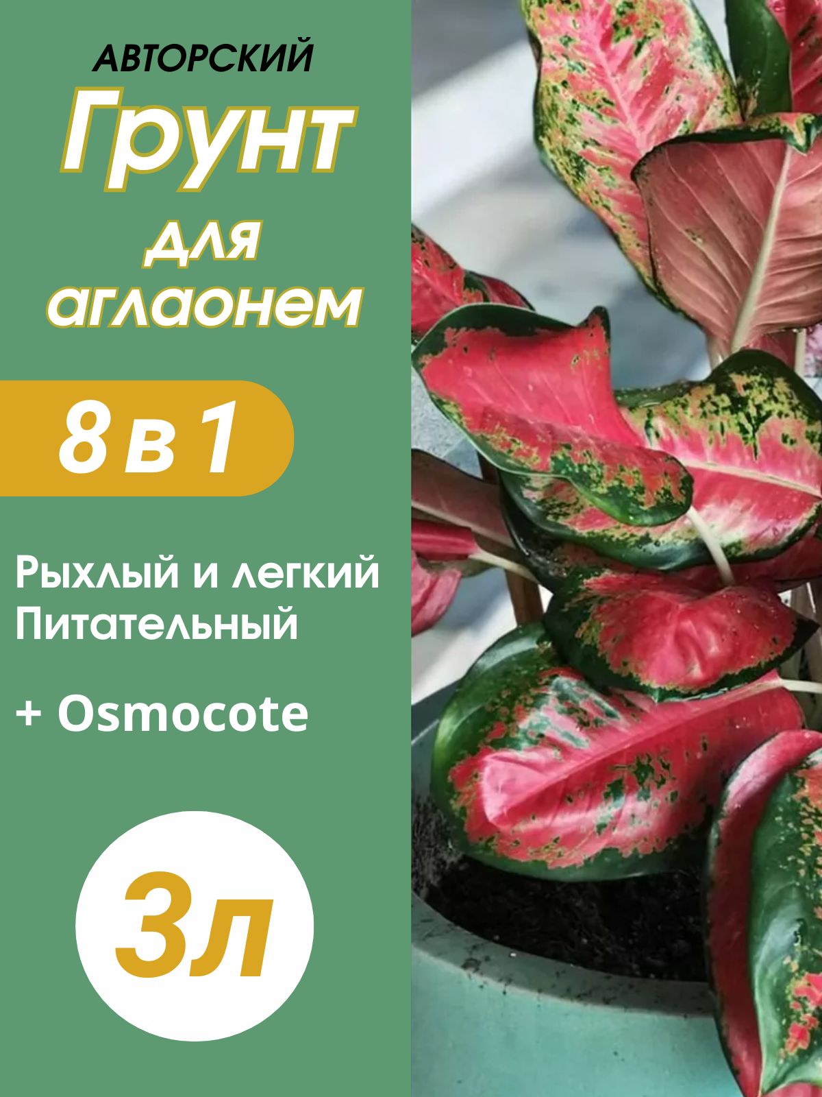 Грунт для Аглаонем 3л готовый