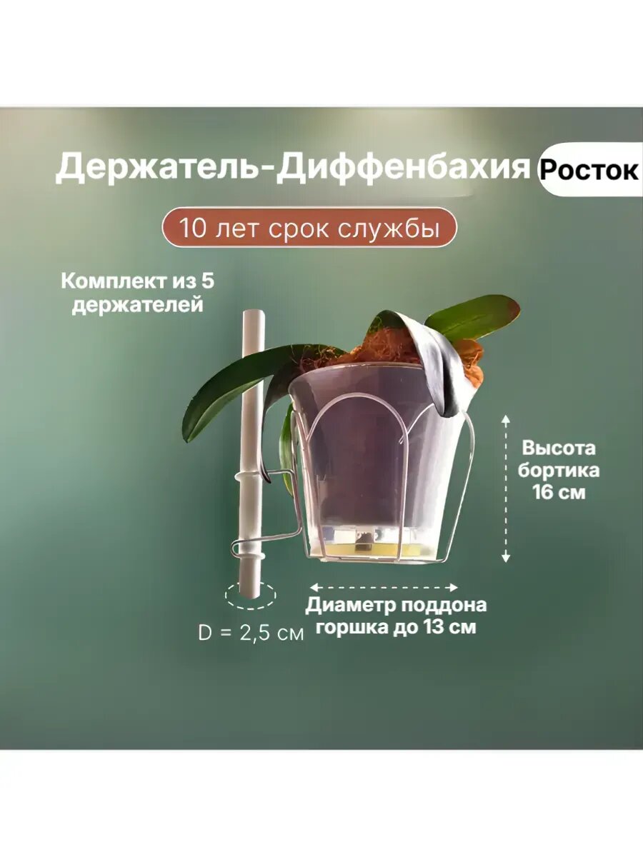 Держателей для крупных цветов "Диффенбахия" 5 шт