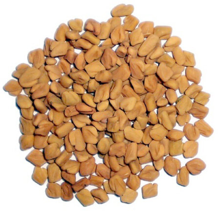 Пажитник зерно