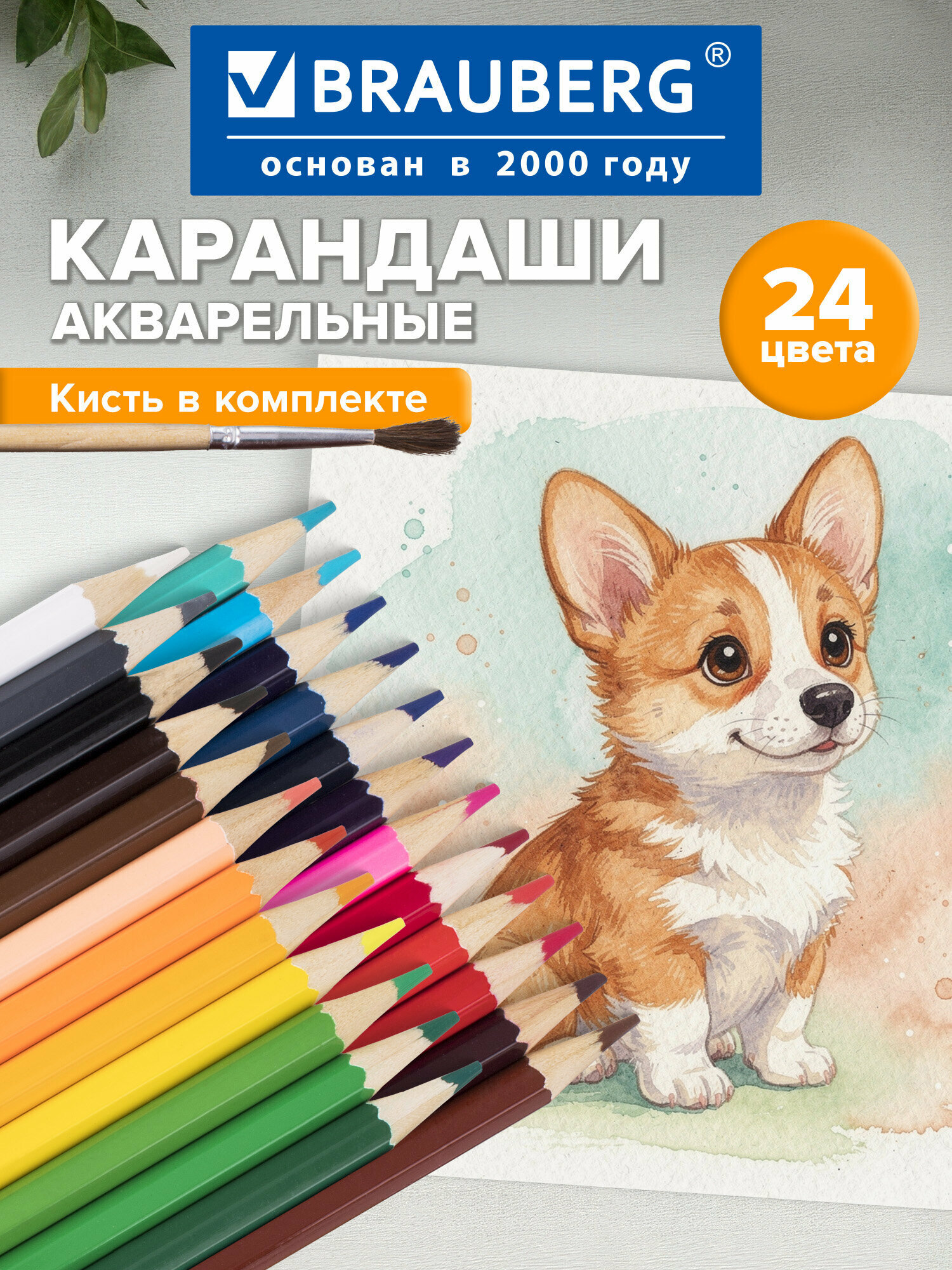 Карандаши акварельные цветные для рисования классические мягкие Brauberg, 24 цвета, с Кистью, шестигранные, грифель 3 мм, натуральное дерево, 181849