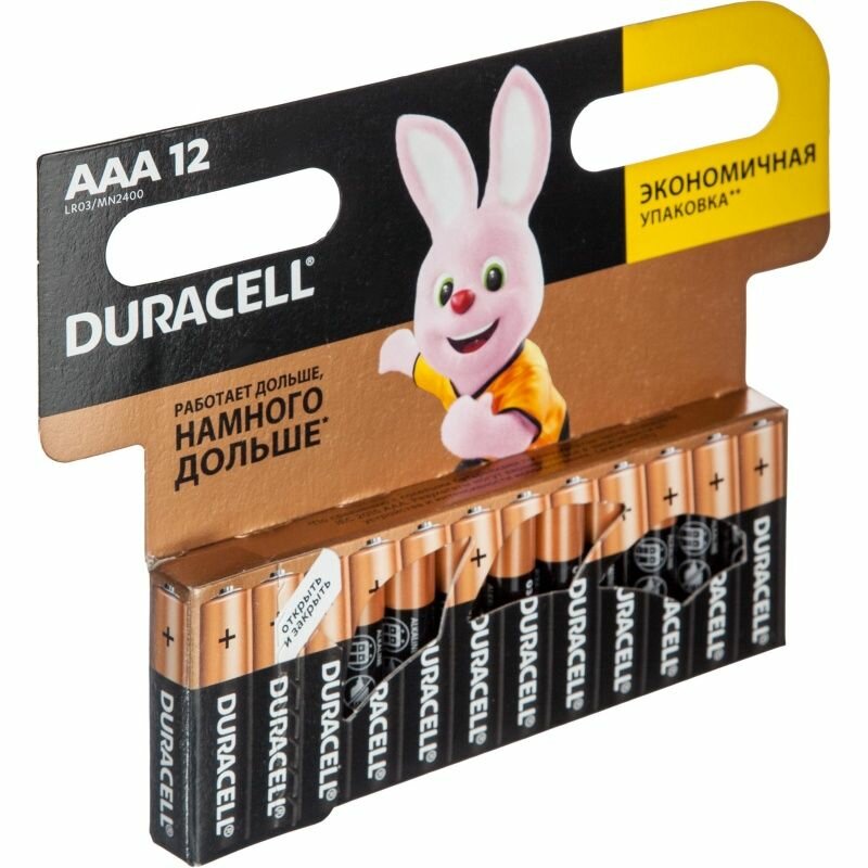 Батарейки Duracell Basic ААA, LR03-12BL (81480379) — фото 1