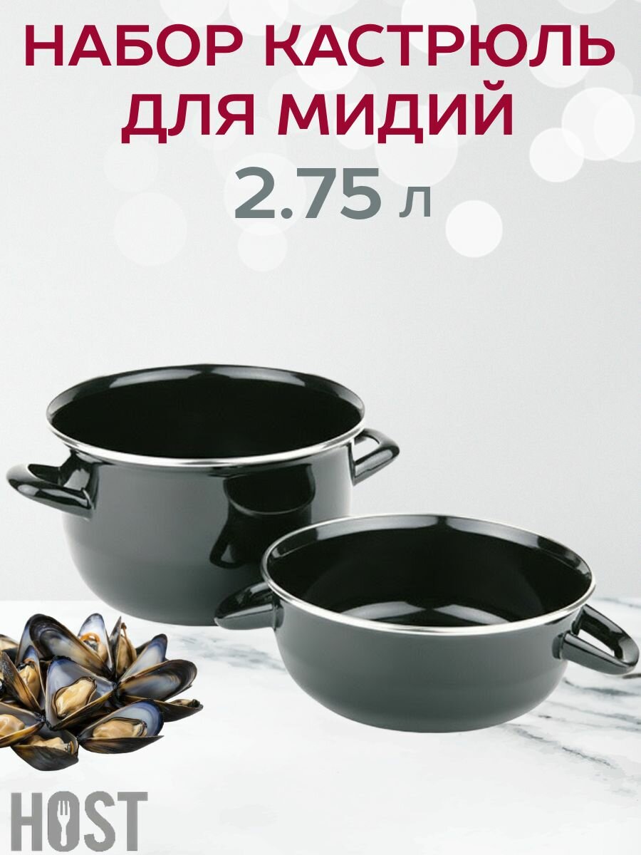 Набор кастрюль для мидий из эмалированной стали 2.75 л
