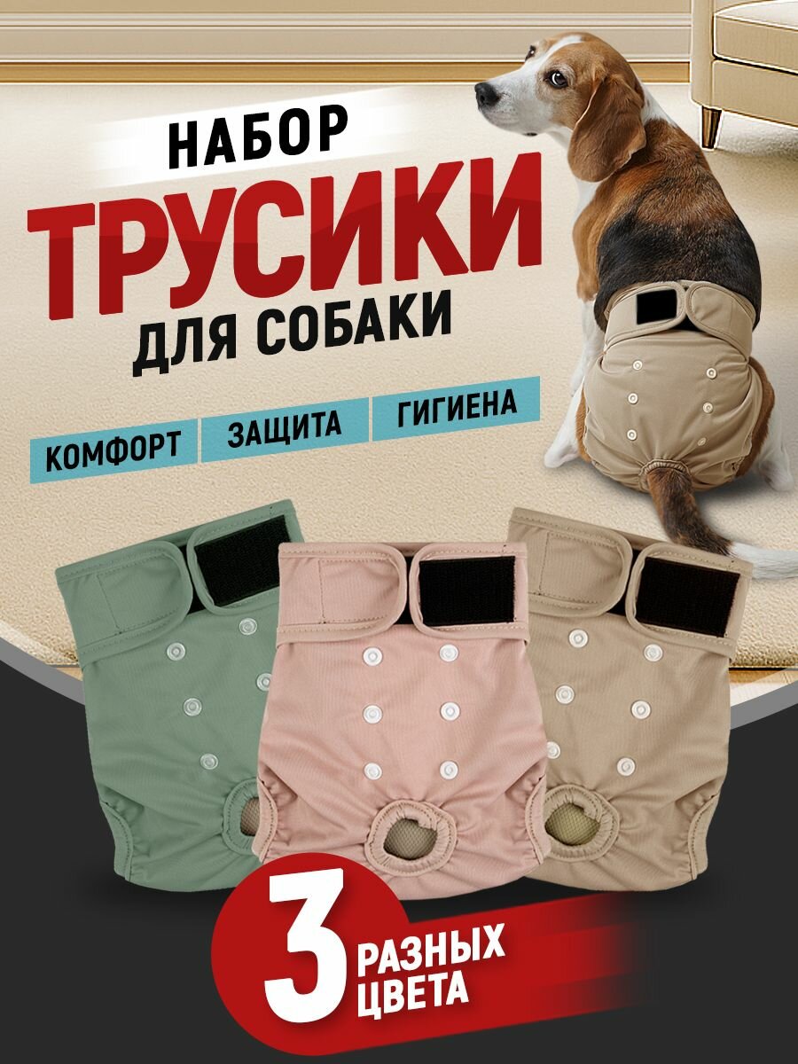 Трусы для собак при течке многоразовые, трусики для собак многоразовые, 3 шт, XL.