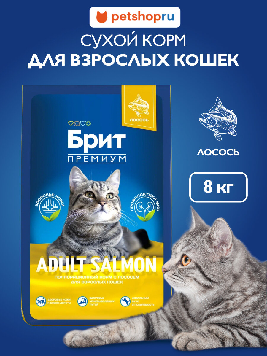 Сухой корм премиум класса с лососем для взрослых кошек