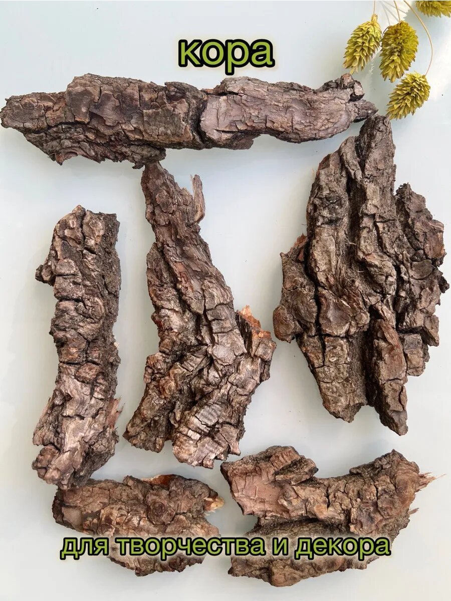 Кора природный материал для поделок и декора, творчество