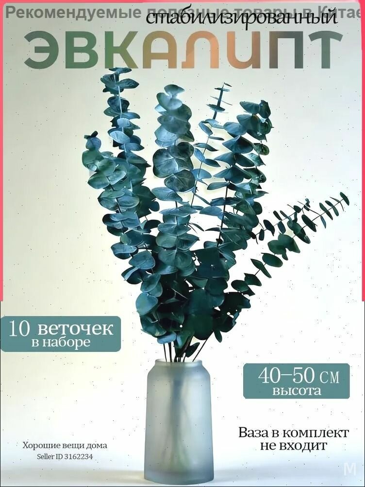 Сухоцветы Эвкалипт, 50 см, 10 шт