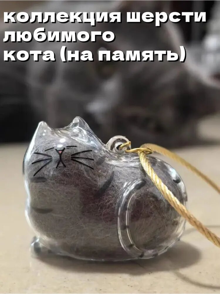 Мини-капсула для хранения кошачьей шерсти, ручная работа, Образцы шерсти домашних животных, DIY