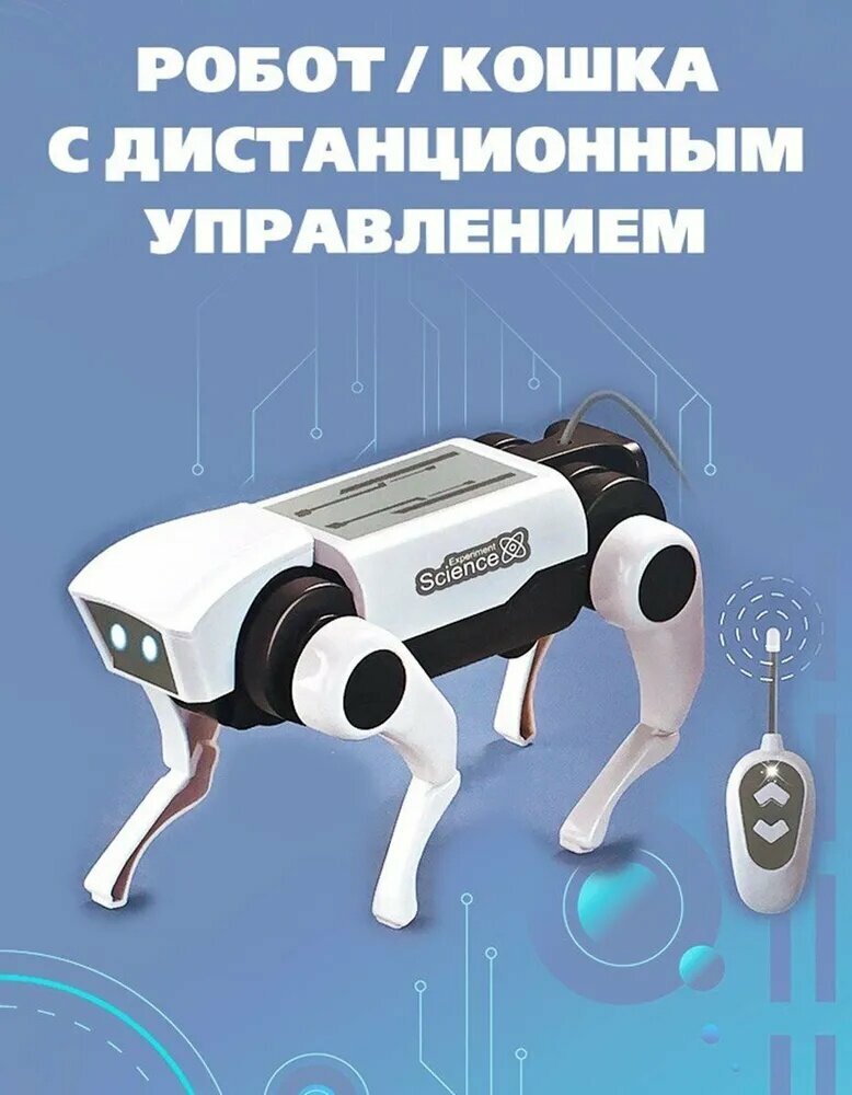 Робот радиоуправляемый