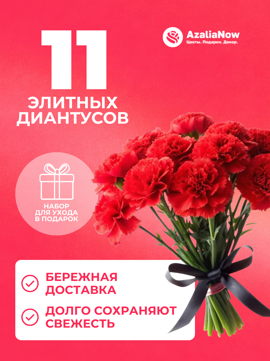 Букет из 11 красных гвоздик под ленту, диантус Голландия от АзалияНау