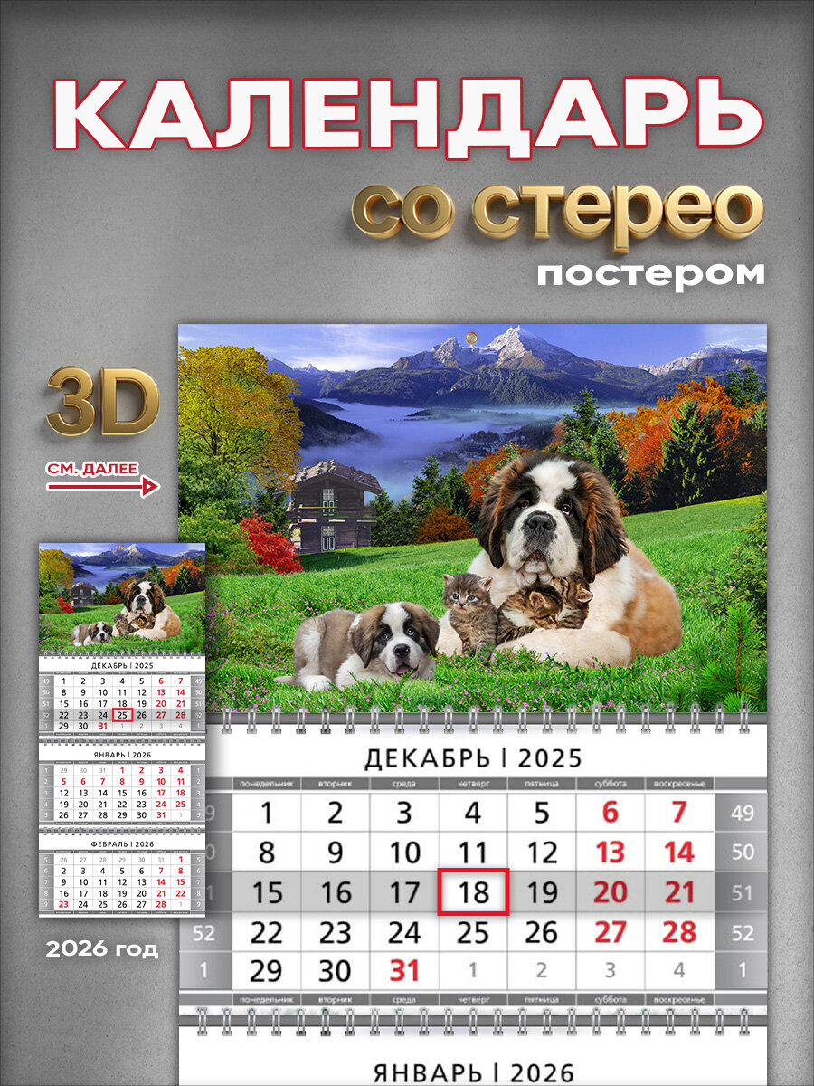 Настенный квартальный стереокалендарь "Собаки сенбернары"