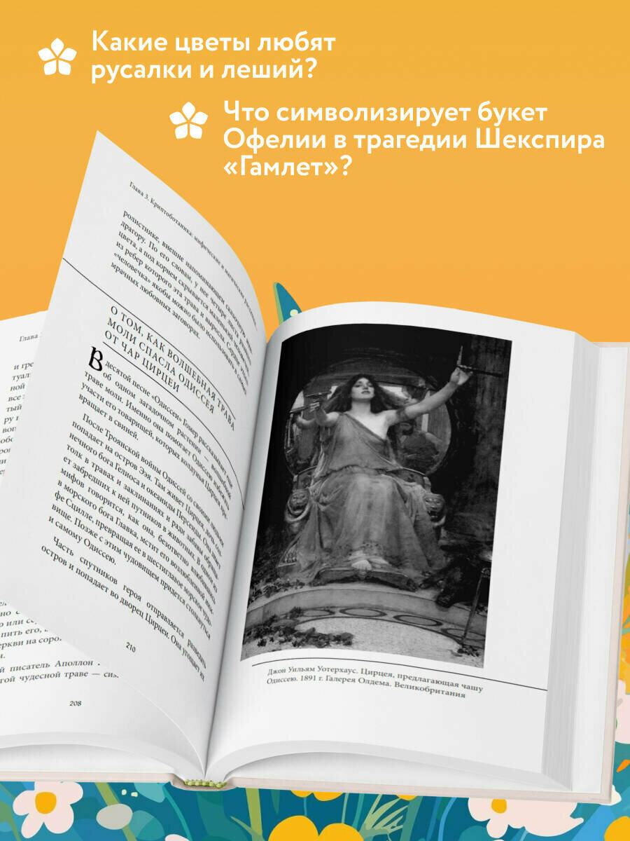 Ботанические мифы — фото 1