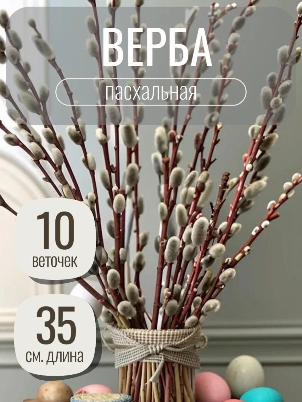 Живые веточки пушистой вербы для флористики и декора вашего дома