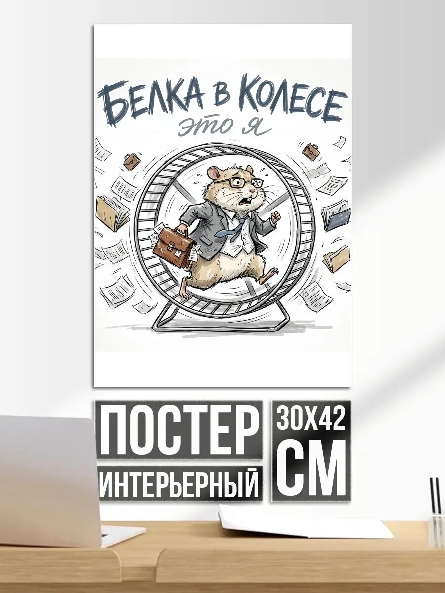 Постер на стену Белка в колесе