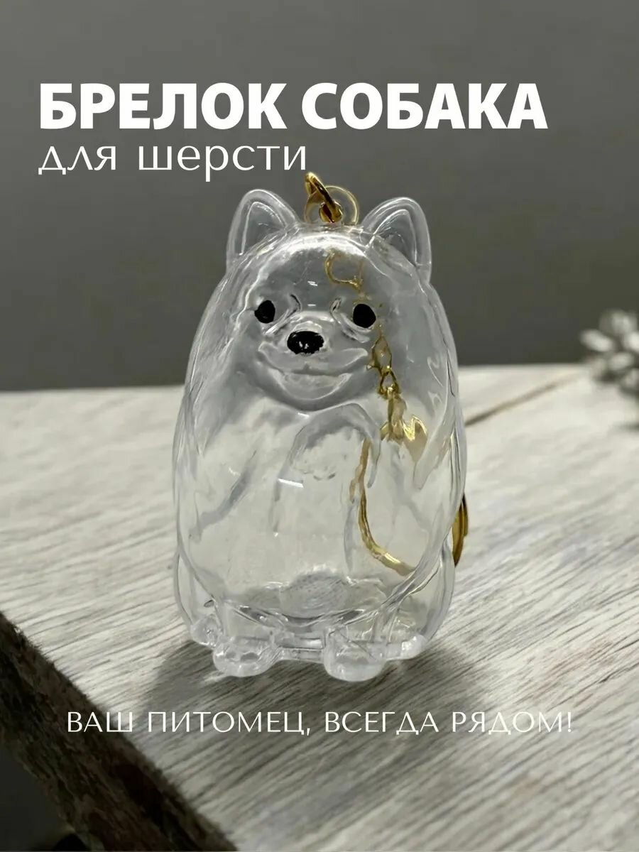 Брелок капсула для шерсти Шпиц. Брелок капсула для шерсти Шпиц — фото 1