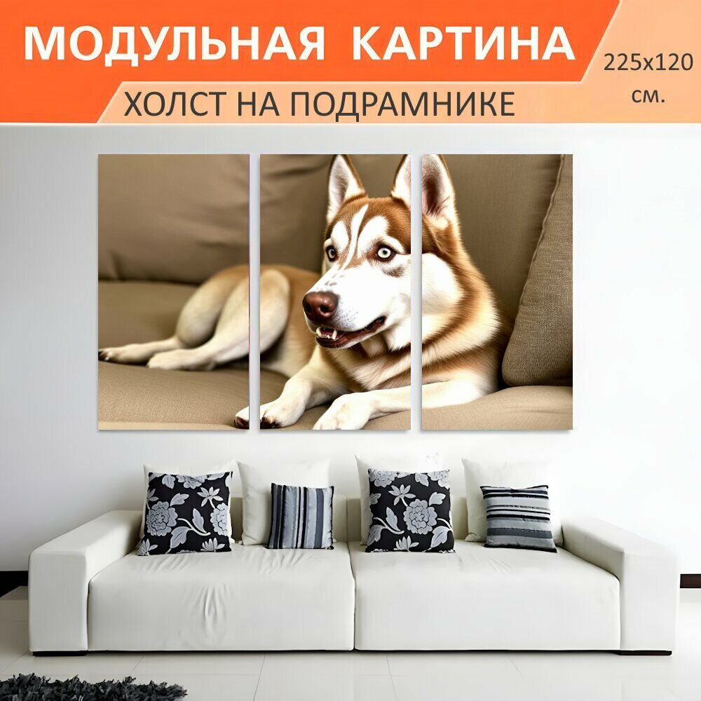 Модульная картина на холсте "Сибирский хаски с бело-рыжей шерстью лежит на бежевом диване, сосредоточенно смотрит перед собой, в." триптих на подрамнике 225х120 см. для интерьера