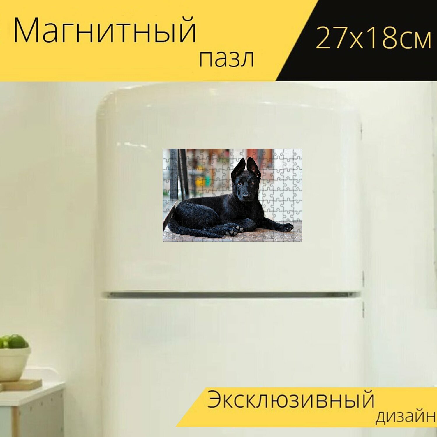 Магнитный пазл "Черная немецкая овчарка, щенок, собака" на холодильник 27 x 18 см.