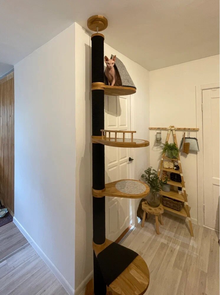 Когтеточка для кошек до потолка в распор из натурального дуба 260-275 см Catsby Family Tree