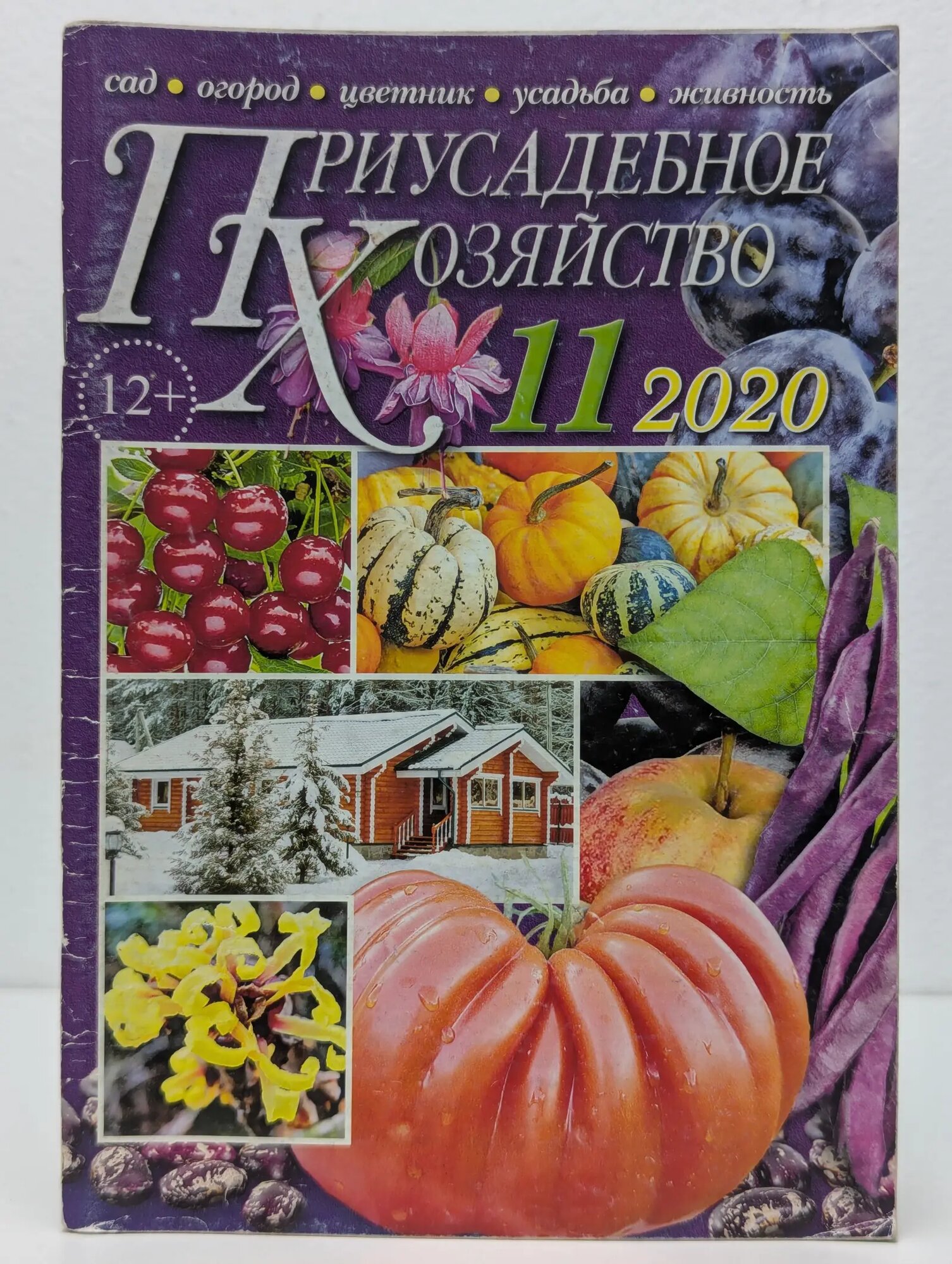 Приусадебное хозяйство. Выпуск № 11/2010 Сборник 2020