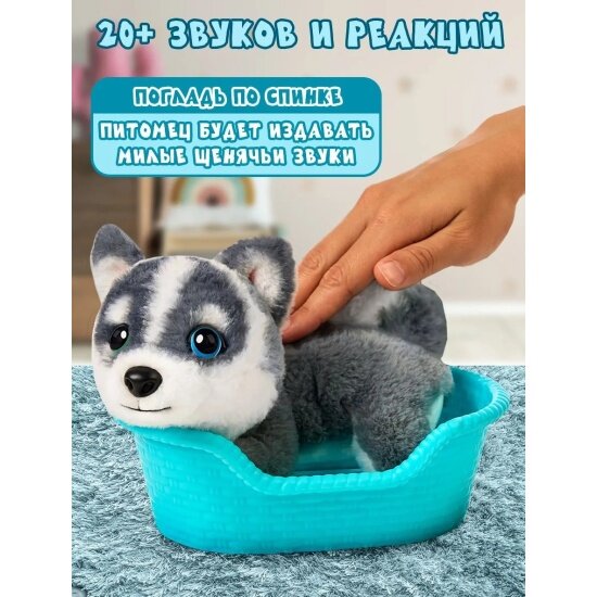 Интерактивная игрушка Moose (llp+wp) 26648 щенок Аврора в корзинке