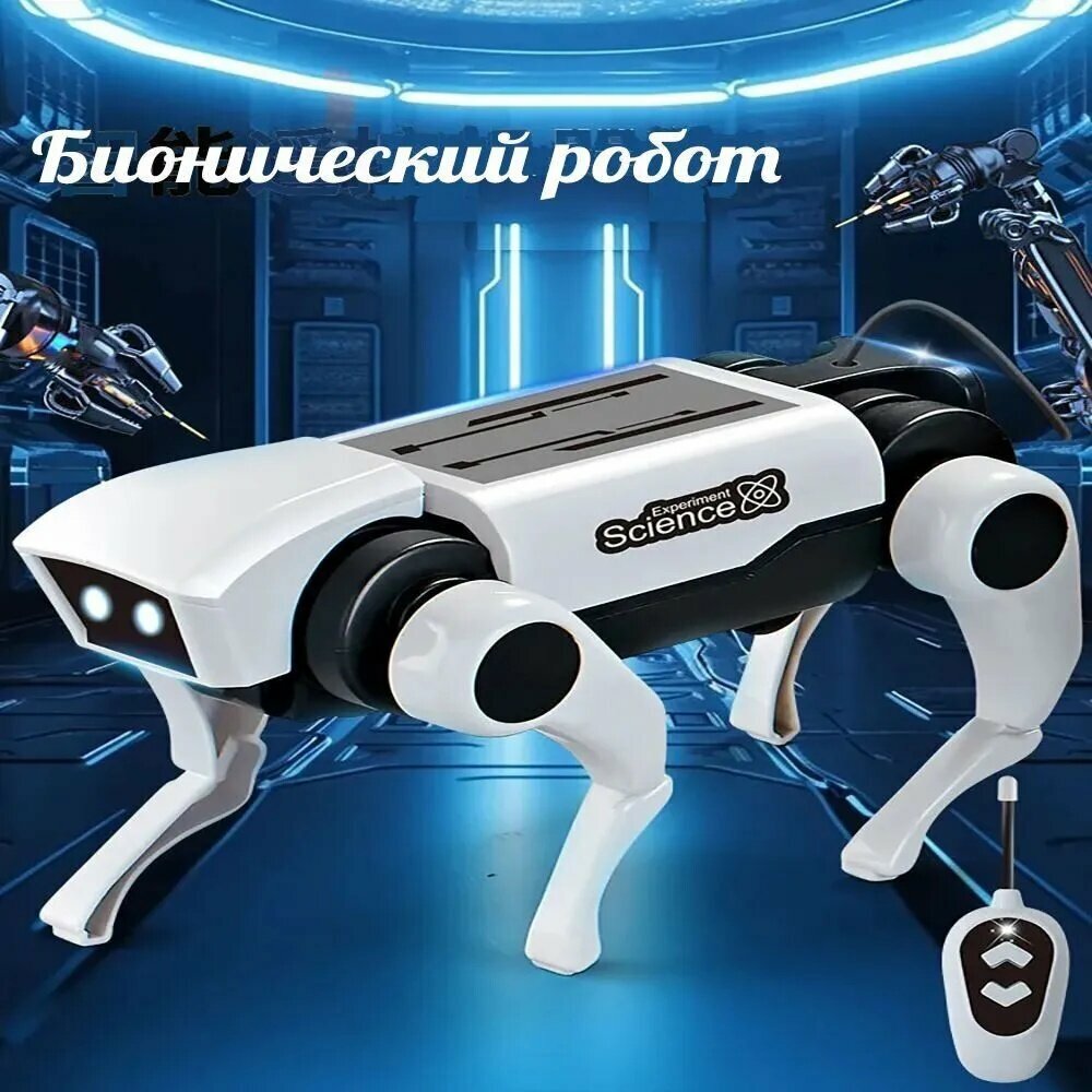 Робот радиоуправляемый