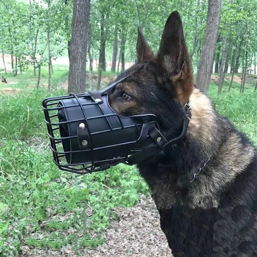 Намордник