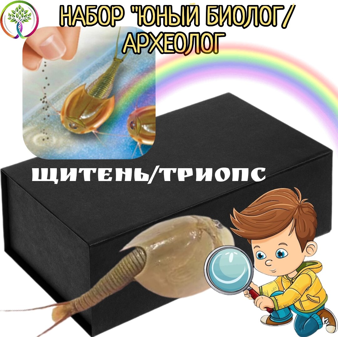 Набор Юный биолог Археолог"Триопс/щитень летний"