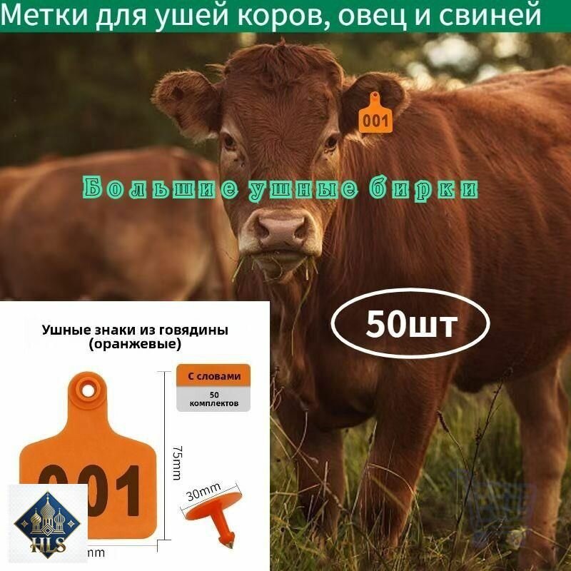 Ушные бирки для животных с номерами Метки для маркировки КРС-(50шт)-оранжевый
