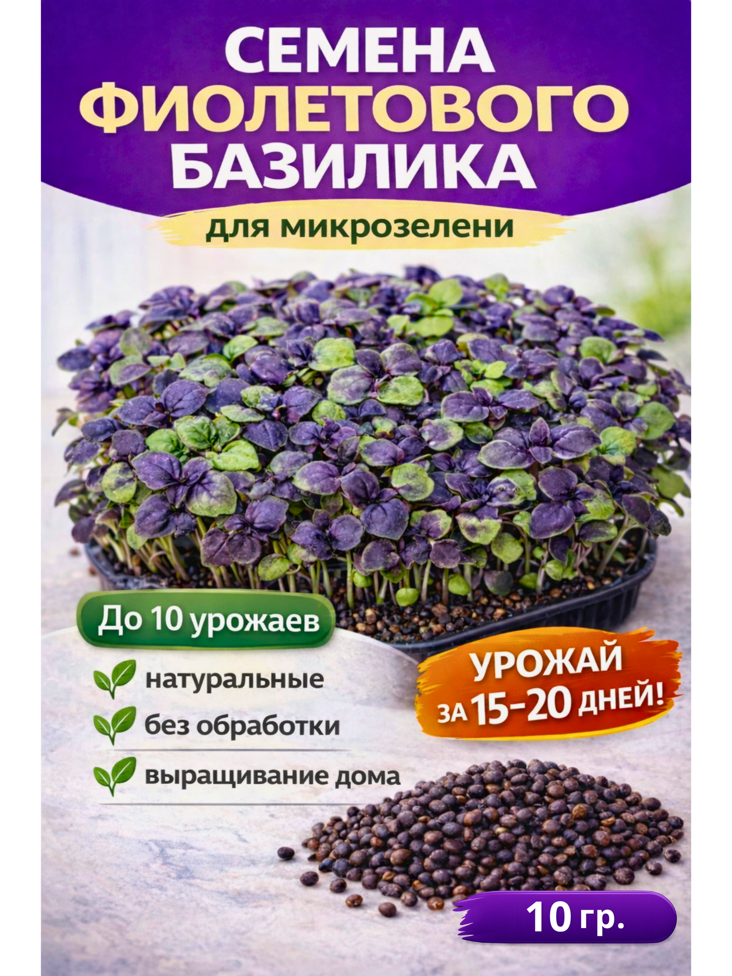 Семена базилика фиолетового для проращивания, микрозелени, 10 гр