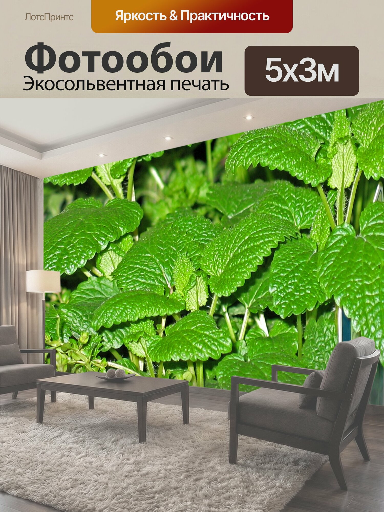 Фотообои "Травы, мята, тимьян" 500x300 см. экосольвентная печать