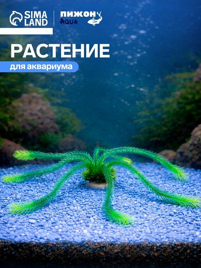 Искусственное растение Пижон Aqua, для аквариума, полистоун, 34 x 5,5 x 5,5 см