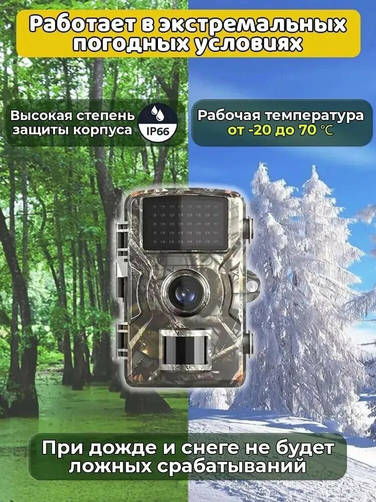 Фотоловушка