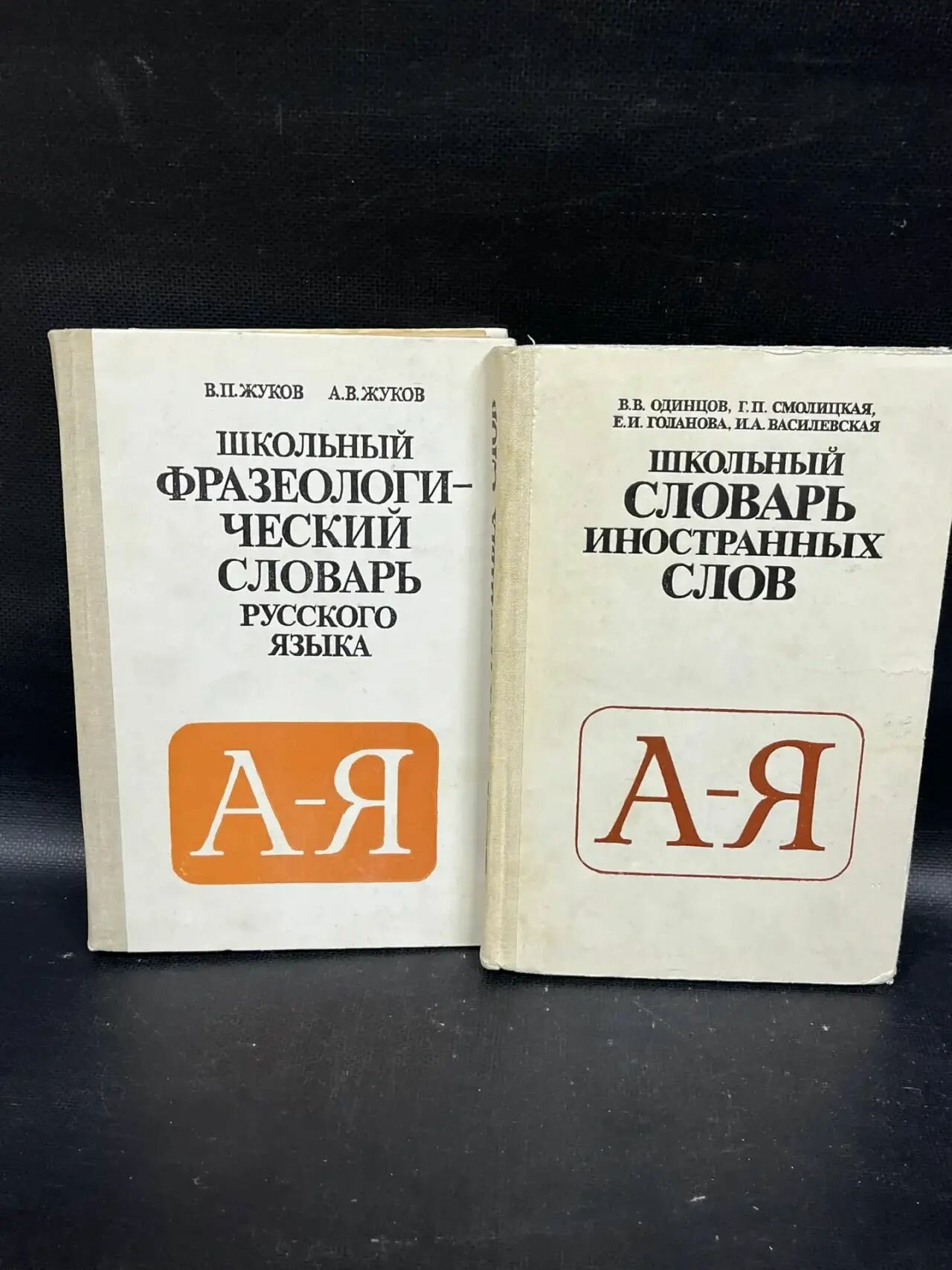 Школьный словарь иностранных слов. Школьный фразеологический словарь русского языка. Комплект из 2 книг