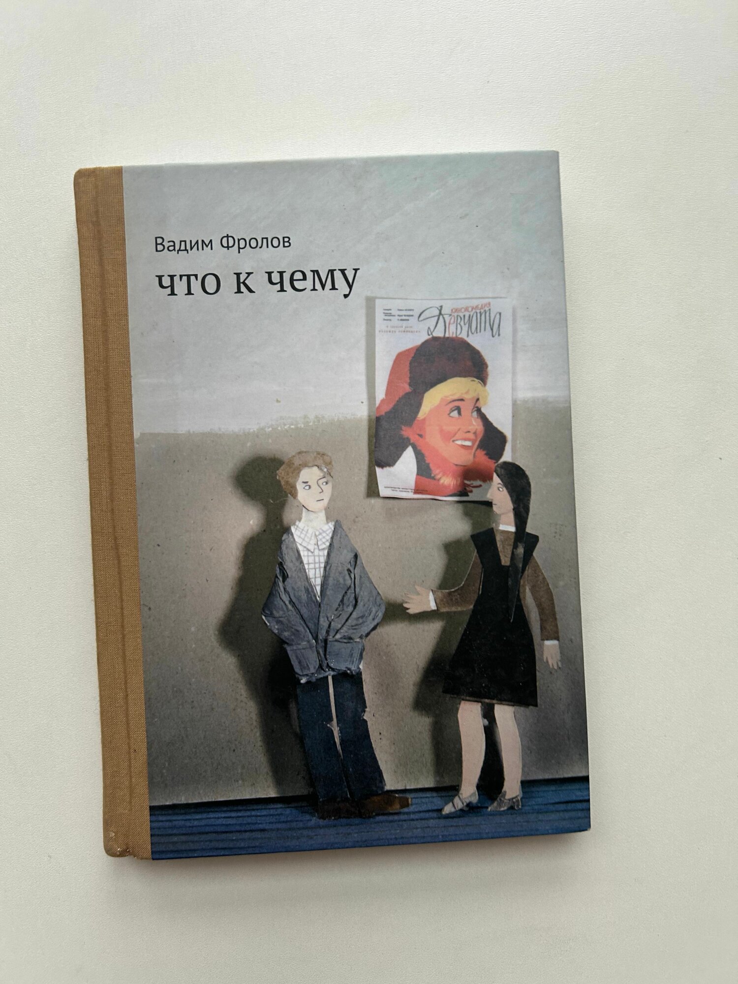 Книга "Что к чему". Иллюстрации Анны Десницкой. Издание 2012 года (second-hand книга)