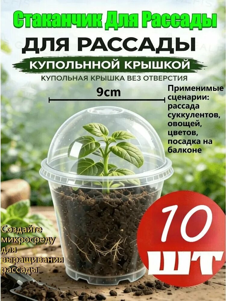 Кассета для рассады