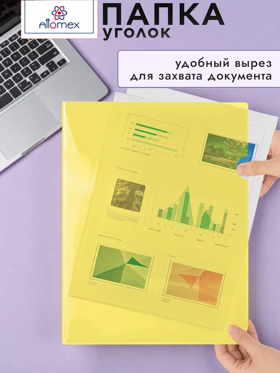 Папка-уголок для документов А4 5 штук — фото 1